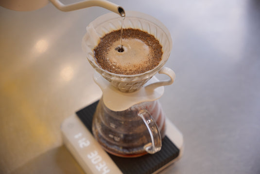 Hand-brewed coffee brewing workshop – sensory ZERO